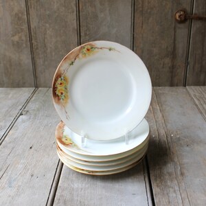 Thomas Serves Bavaria Hand Painted Bread Plates, Yellow Roses, Brown ...