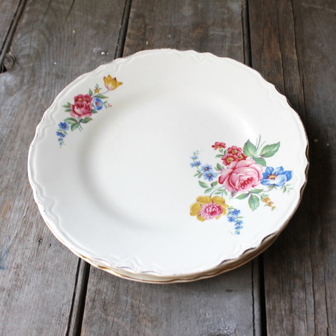 Scio hazel Dinner Plates 3, No Center Flowers, Pink, Yellow, and Blue ...
