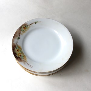 Thomas Serves Bavaria Hand Painted Bread Plates, Yellow Roses, Brown ...