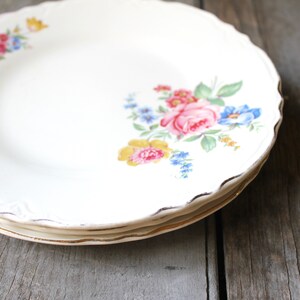 Scio hazel Dinner Plates 3, No Center Flowers, Pink, Yellow, and Blue ...