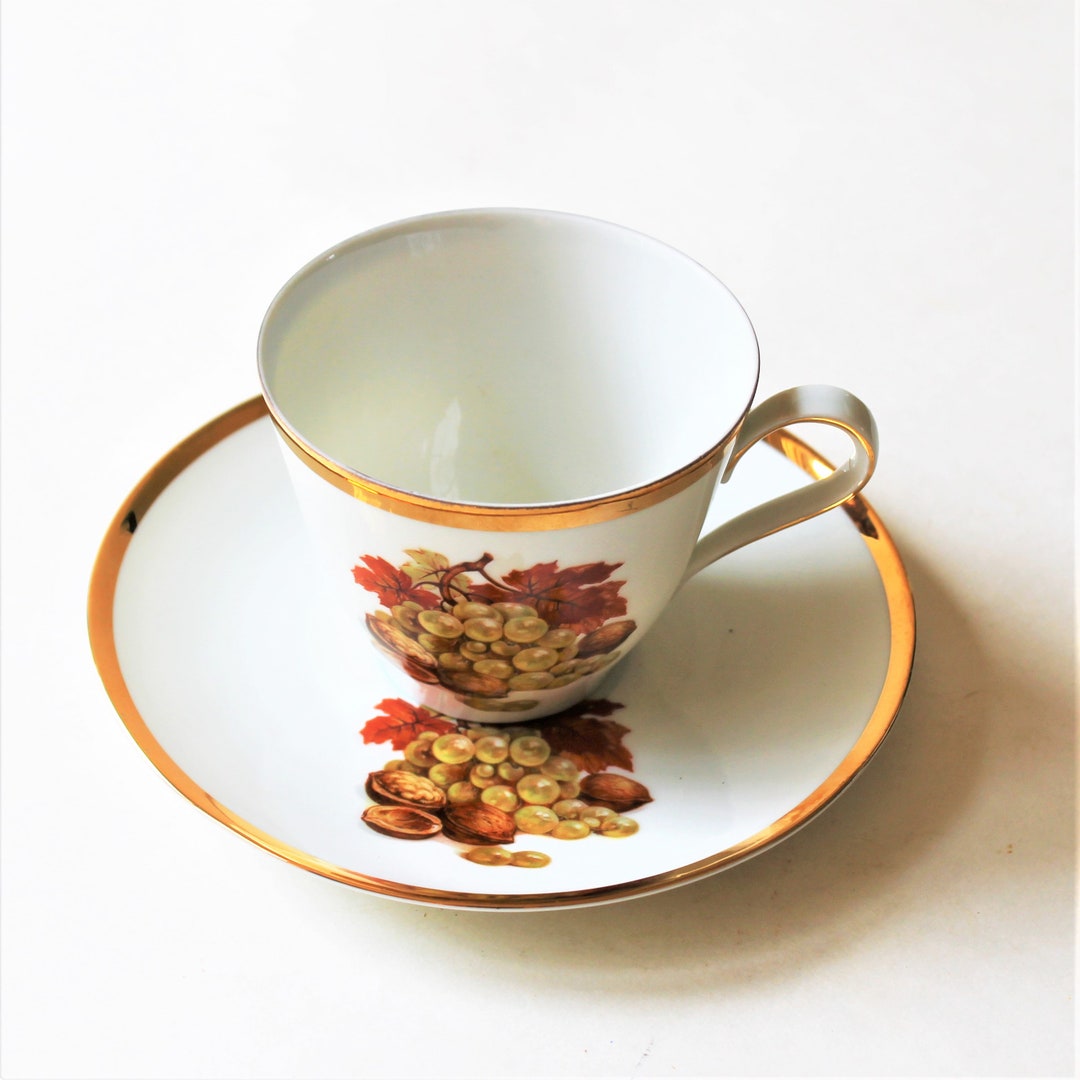 VTG Bareuther & Co Fruit and Nuts Flat Cup and Saucer Set, Gold Banding ...