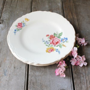 Scio hazel Dinner Plates 3, No Center Flowers, Pink, Yellow, and Blue ...
