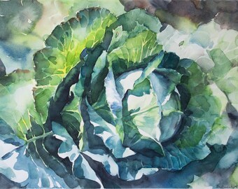 Watercolor Painting Original Art Cabbage 11x15 - Etsy