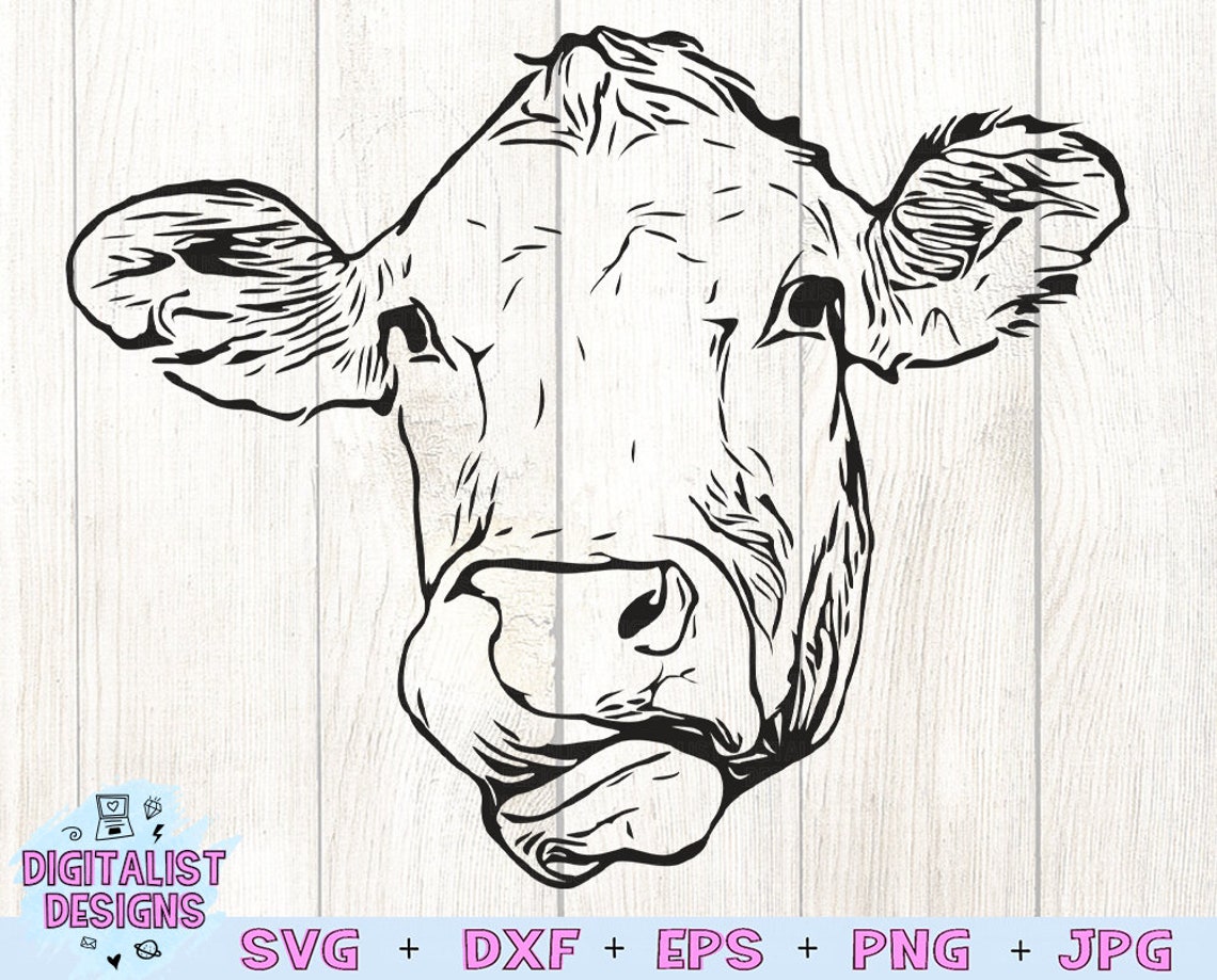 Cow Svg Heifer Svg Cow Clipart Cow Face Svg Svg Files | Etsy