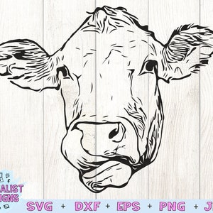 Cow Svg, Heifer Svg, Cow Clipart, Cow Face Svg, Svg Files, Cricut ...