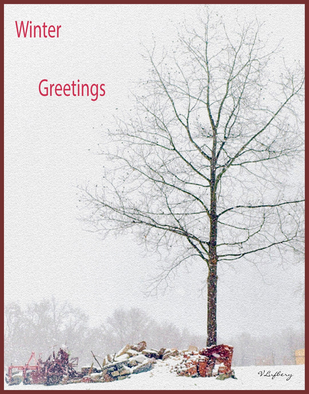 Christmas-winter-greetings Winter Tree Photo Greeting Card - Etsy