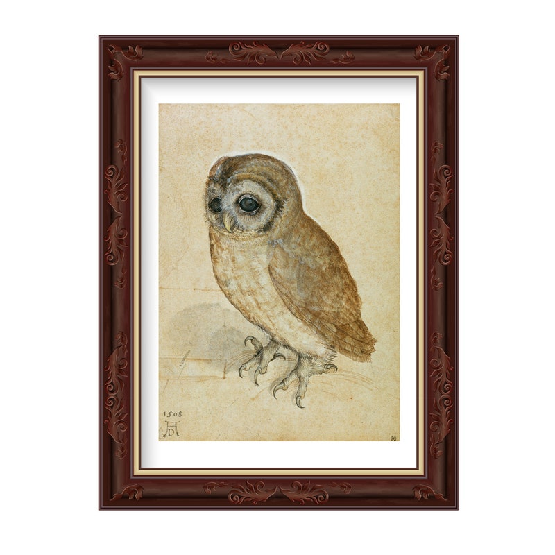 Cute Little Owl - Etsy