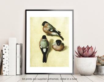 Albrecht Durer: Bat. Fine Art Print/poster. 003641 - Etsy