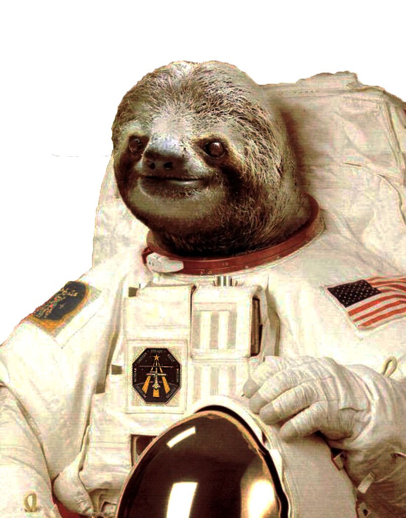 Sloth Astronaut Prank
