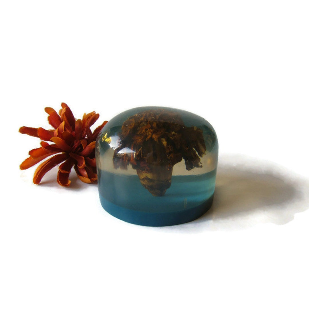 Acrylic Paperweight, Lucite Paperweight; Large Paperweight, Vintage ...