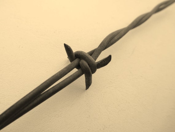 Antique Barbed Wire Barb Wire Country Western Decor Cowboy - Etsy