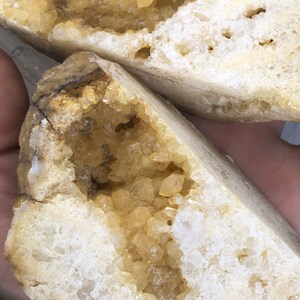 Cut Geode Halves, Geode From Kentucky, Citrine Geodes, Cut Geode ...