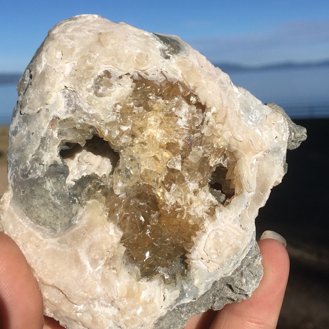 Clam Shell Fossil With Golden Calcite, Honey Calcite Crystals, Rock ...