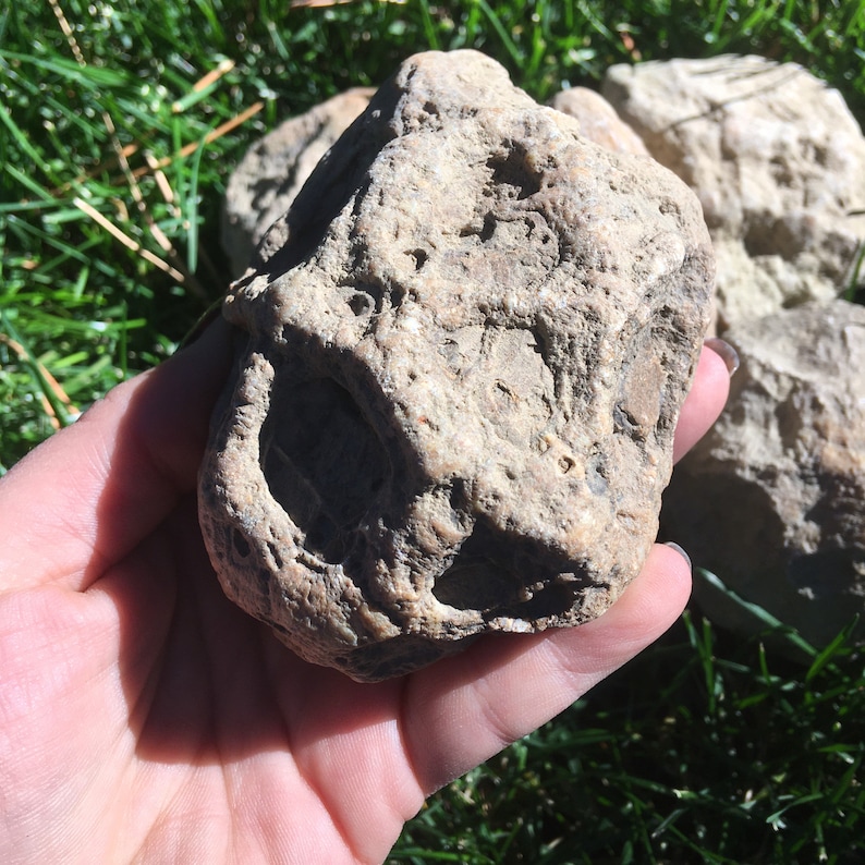 Large Kentucky Rattler Geode Uncut Geode Whole Geode | Etsy