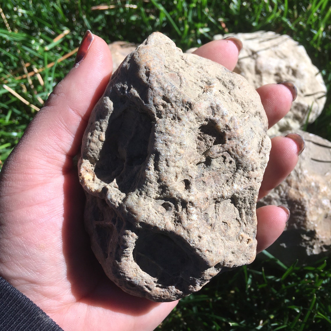 Large Kentucky Rattler Geode Uncut Geode Whole Geode | Etsy