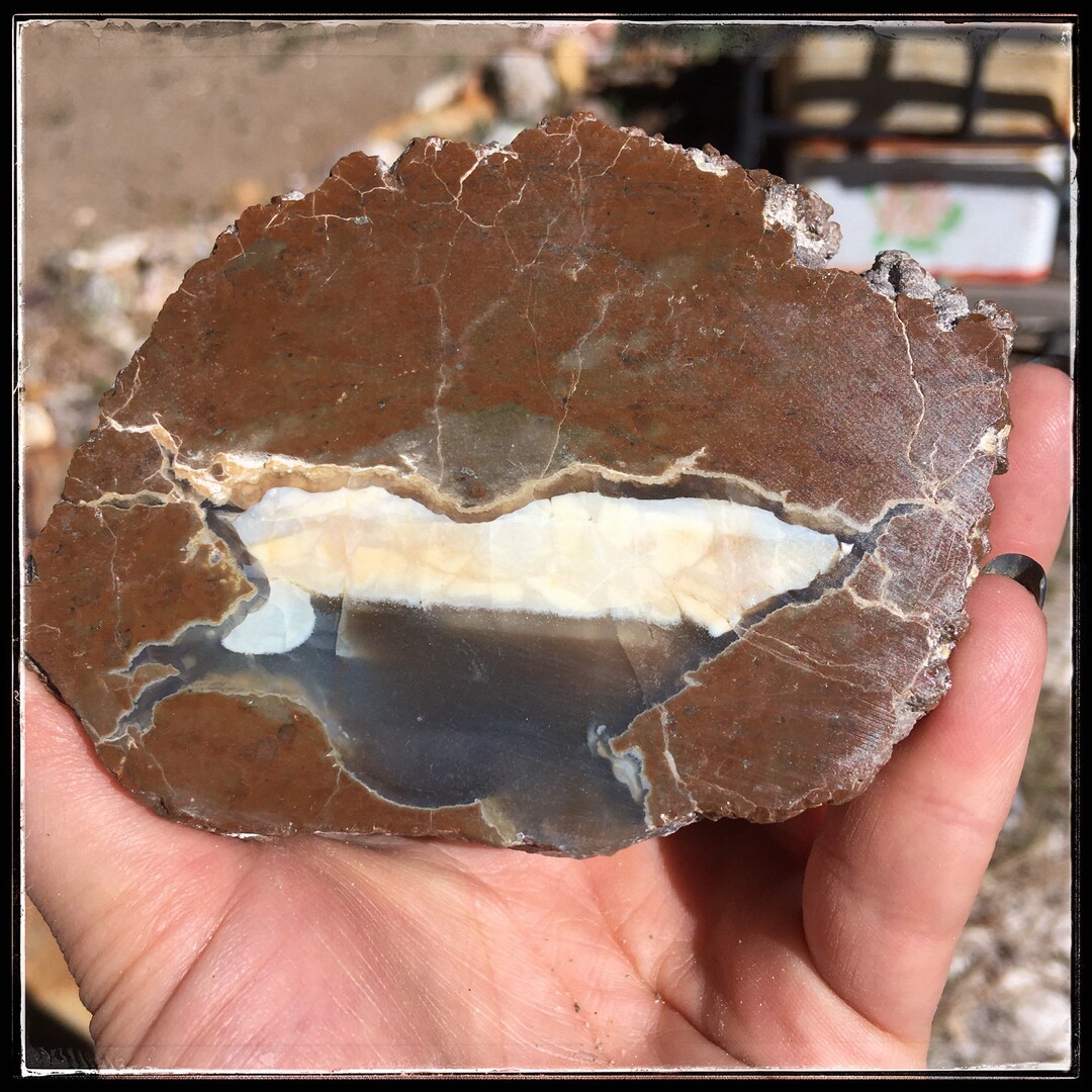 Thunder Egg Half, Cut Thunderegg Geode, Richardson Ranch Agate, Pretty ...