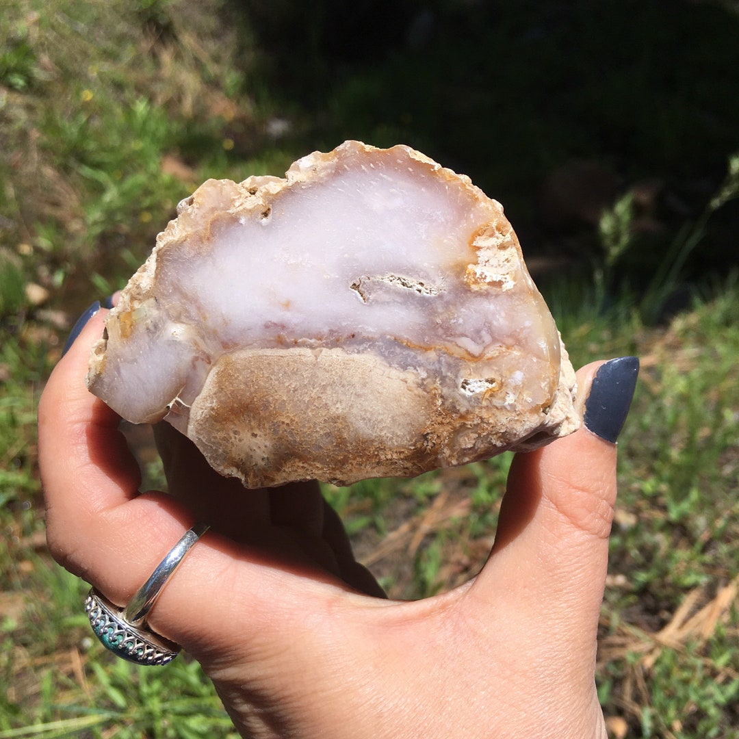 RARE~ Pink Limb Cast Specimen, Petrified Limbs, Petrified Roots From ...