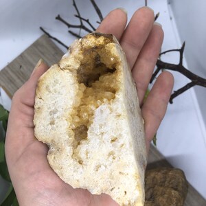 Cut Geode Halves, Geode From Kentucky, Citrine Geodes, Cut Geode ...