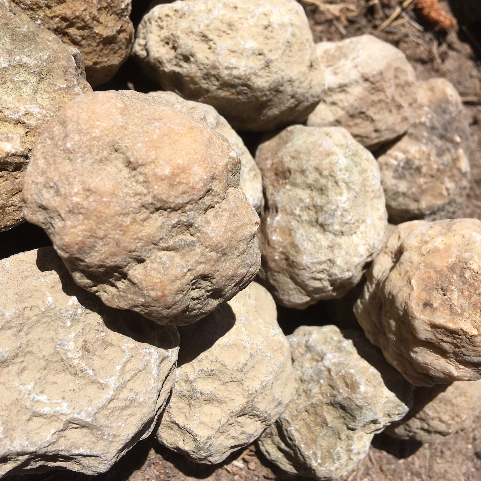 Small Kentucky geode solid whole geode unopened geodes | Etsy