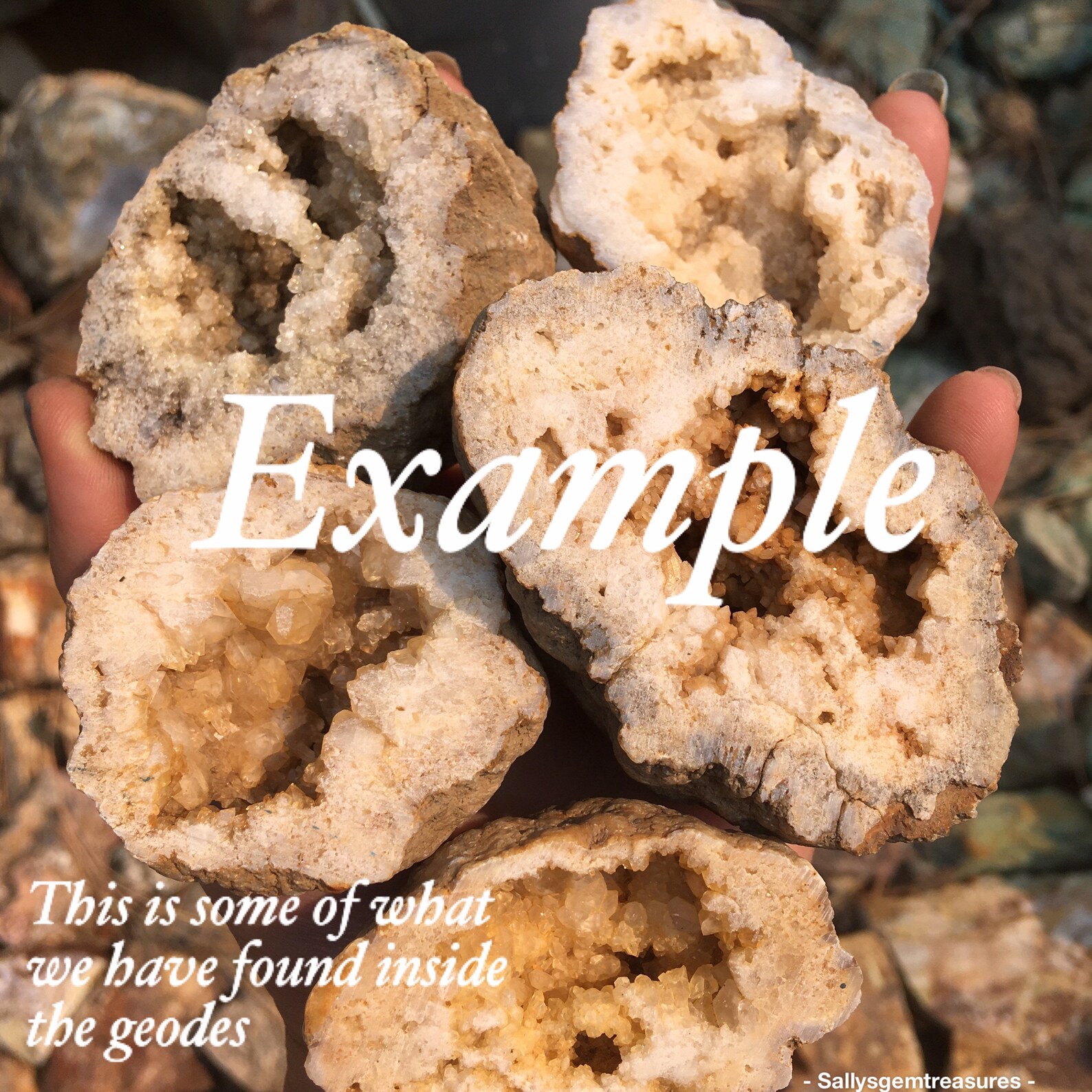 Large Kentucky Rattler Geode Uncut Geode Whole Geode | Etsy