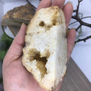 Cut Geode Halves, Geode From Kentucky, Citrine Geodes, Cut Geode ...
