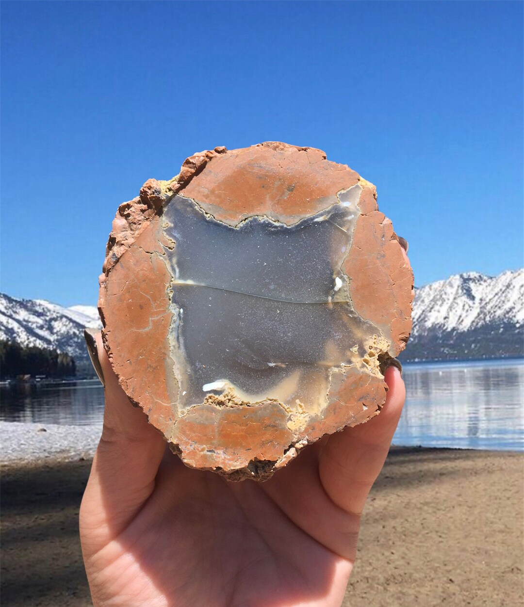 Thunder Egg Half, Cut Thunderegg Geode Half, Richardson Ranch Agate ...