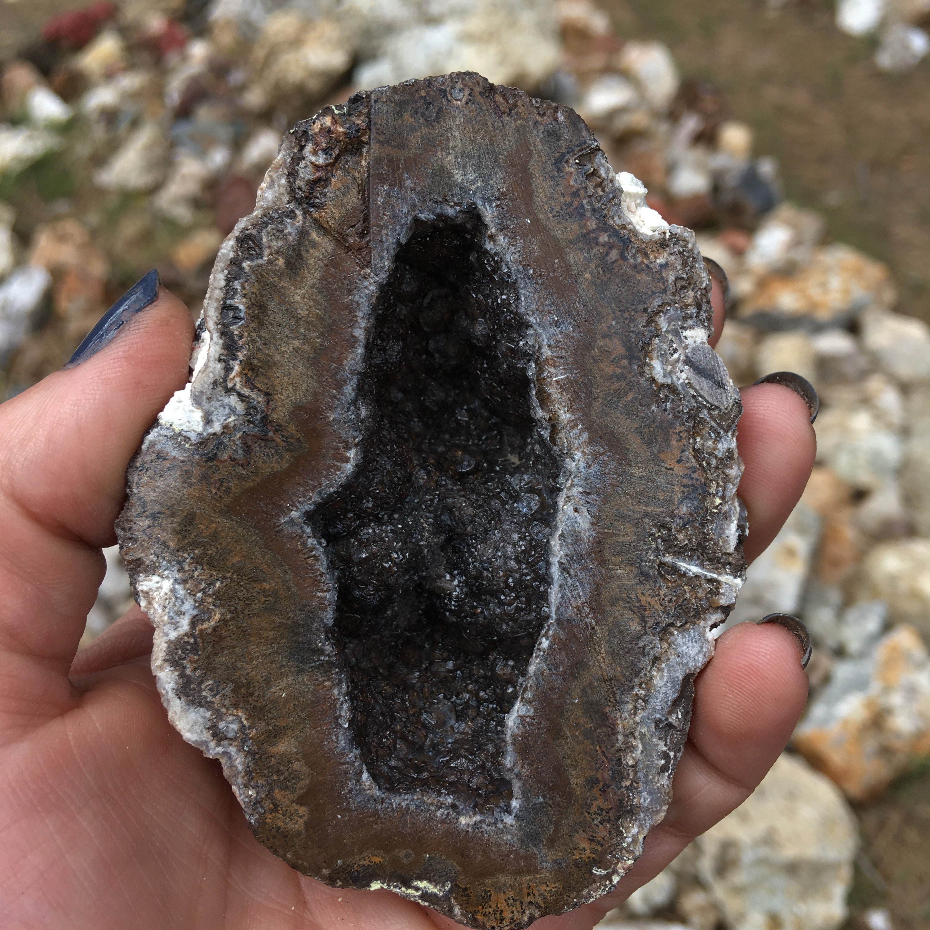 Los Choyas Coconut geode half semi polished crystal geode | Etsy