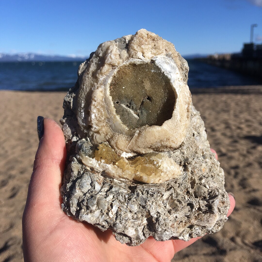Rare Calcite Shell, Golden Calcite Crystals, Rock Collection, Rocks and ...