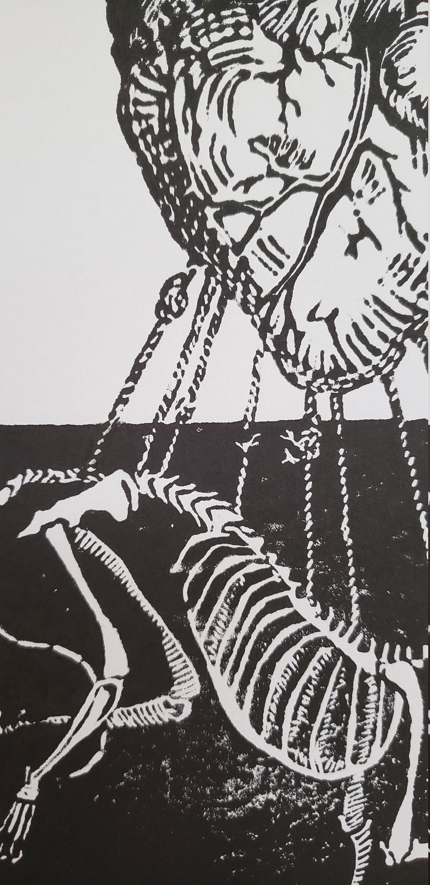 Still Life, Dog Skeleton Original Woodcut Print - Etsy UK