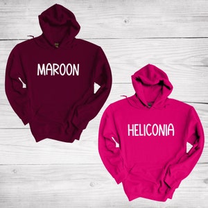 Color Guard Hoodie, High School Marching Band Color Guard Gifts, Color ...
