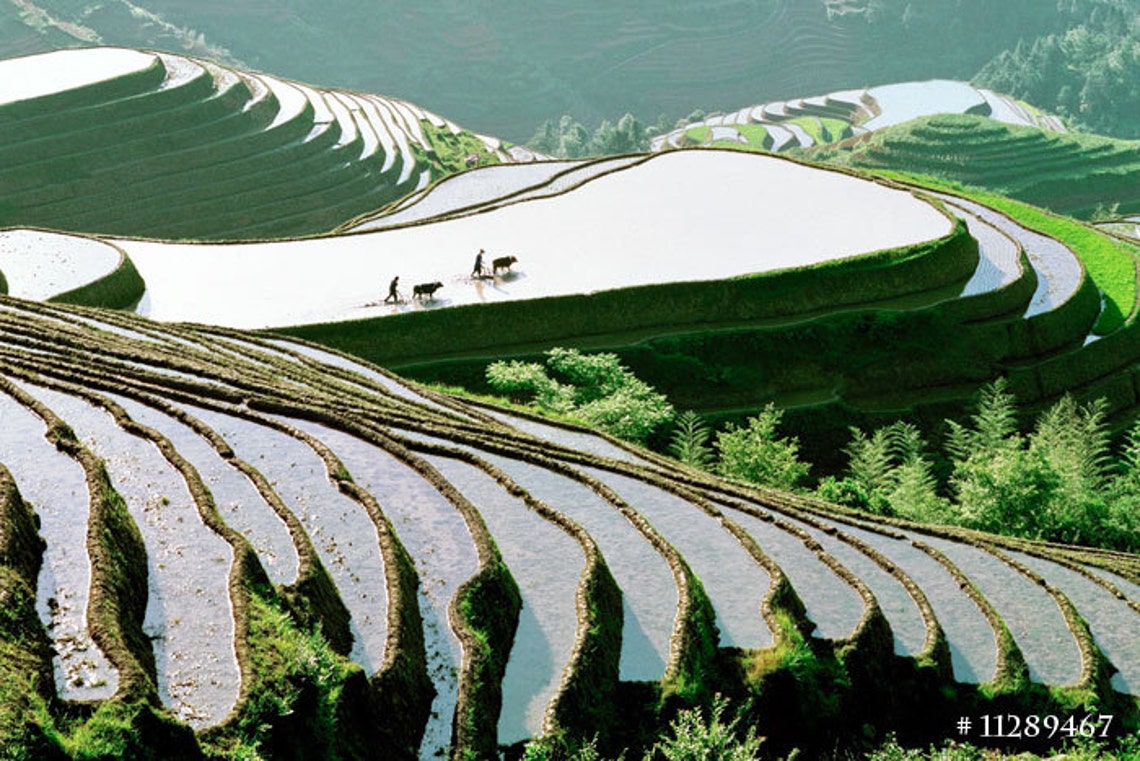 Landscape Photography Rice Terraces in Southern China Long - Etsy Israel
