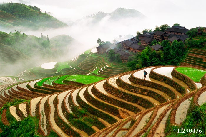 Nature and Landscape Photography - Rice Terraces in China, Asian ...