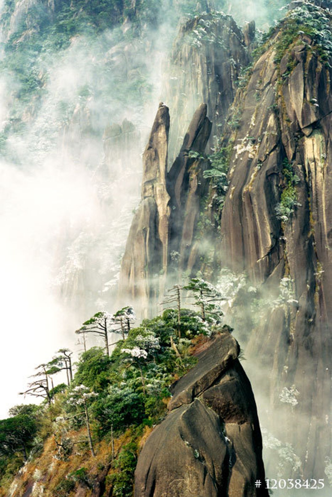 Nature at It's Best in Sanqingshan National Park, China - Etsy