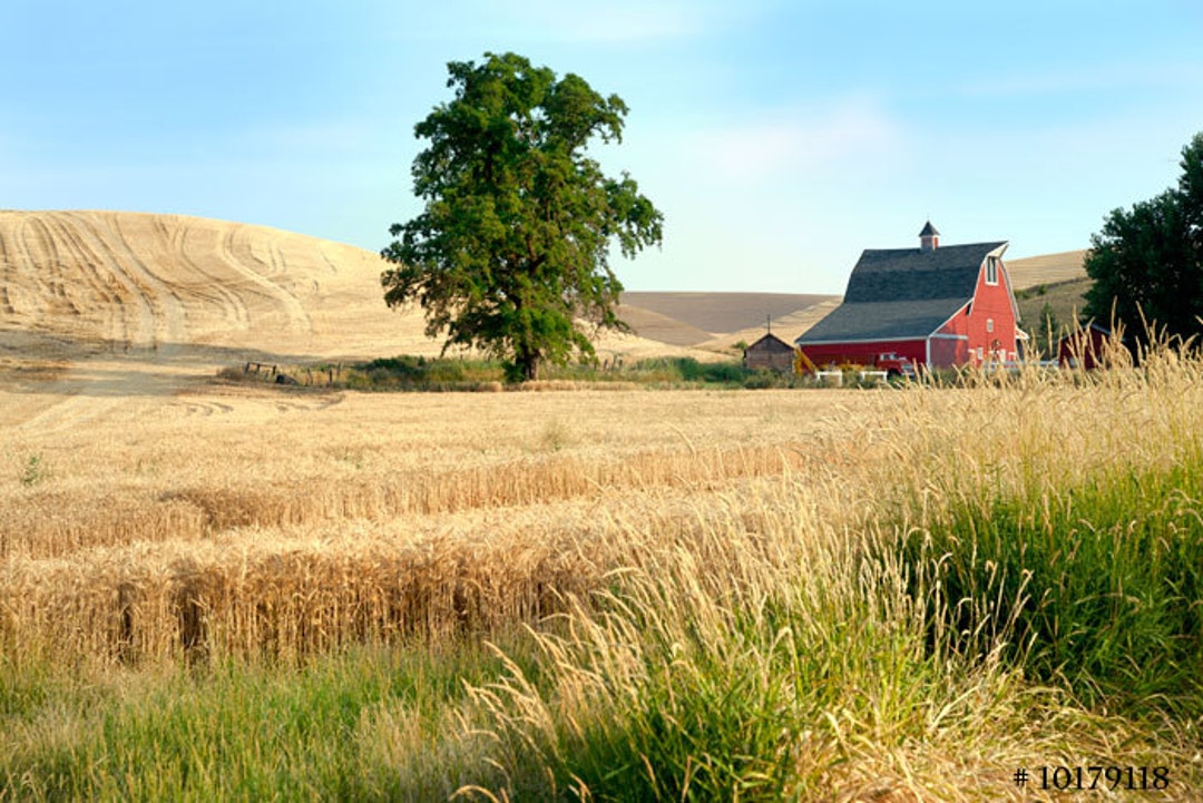 American Farmland in Eastern Washington, USA, Nature Landscape ...