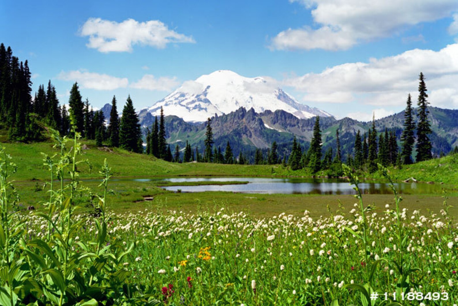 Mt Rainier in Summer. Nature Landscape Photography, Great for Your Home ...
