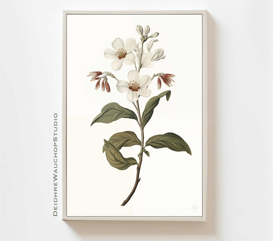 Vintage Botanical Print, Digital Download Art, AI Art, Botanical ...