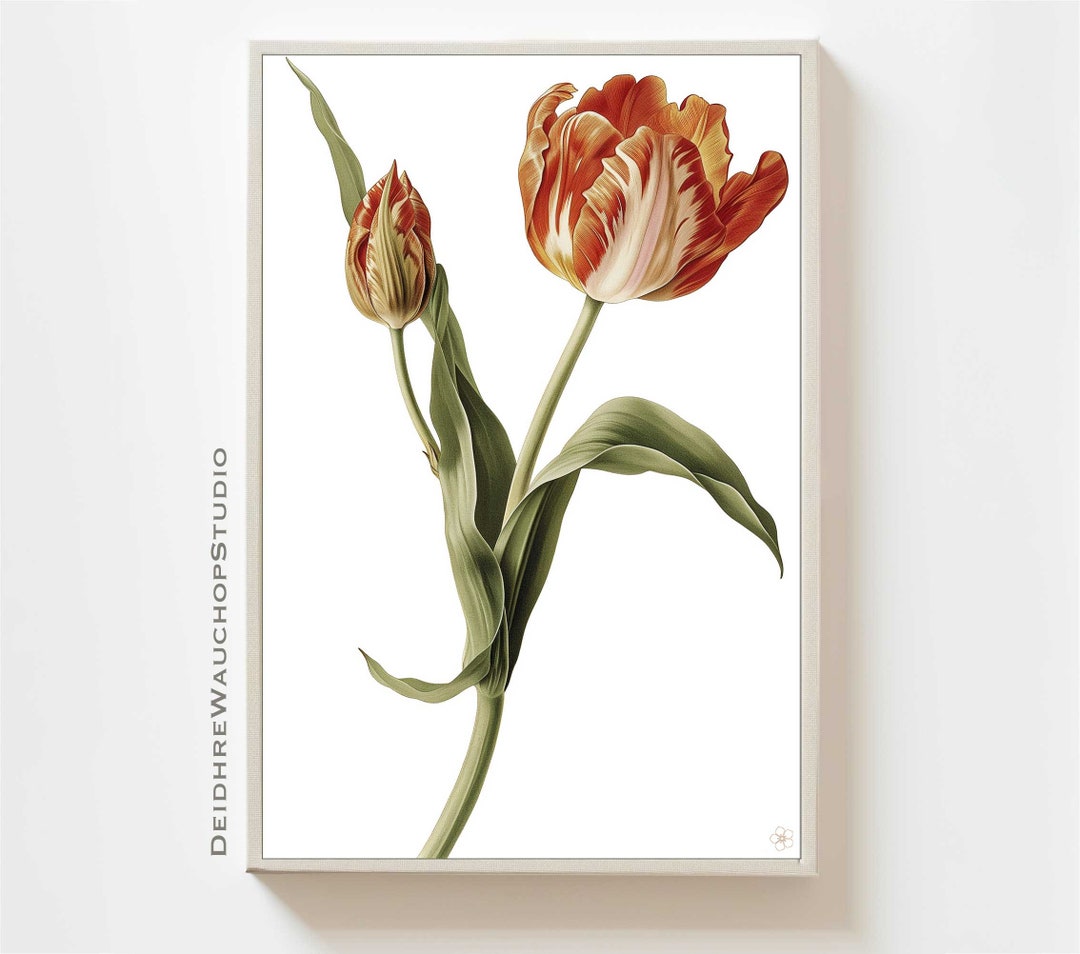 Tulip Botanical Print, Digital Download Art, AI Art, Botanical ...
