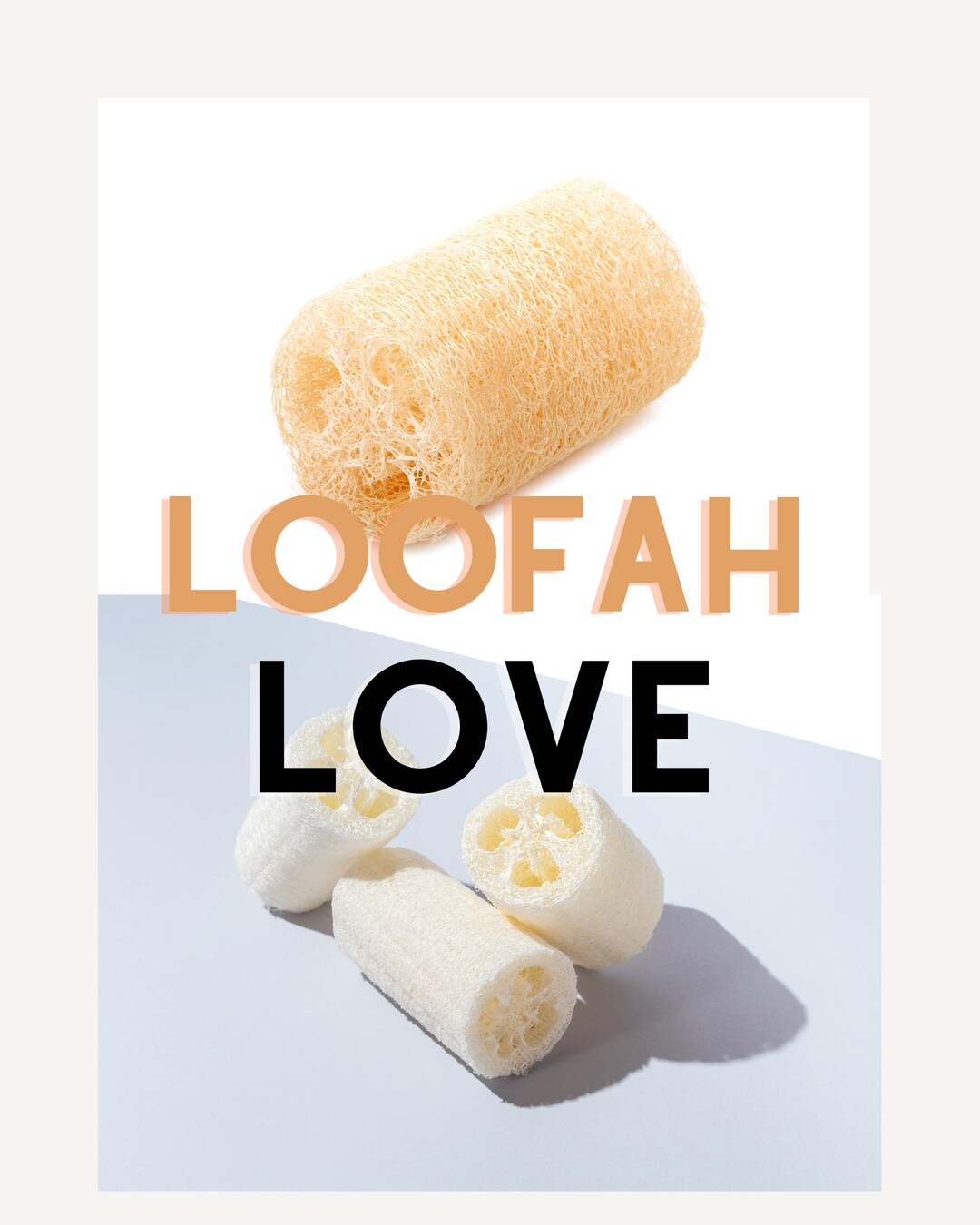 Whole Loofah Sponge | Grown in USA Variety of Sizes, Eco-friendly ...