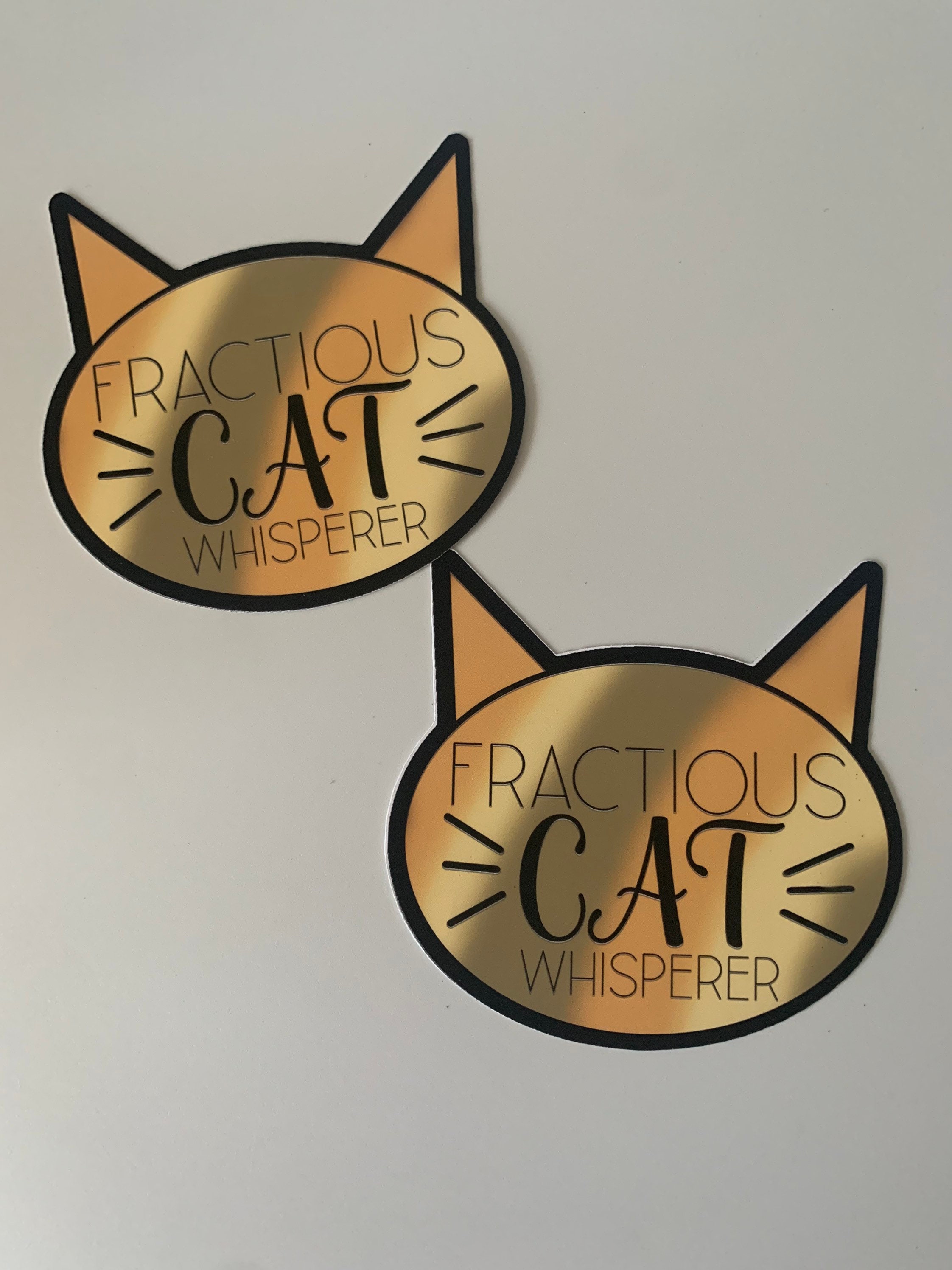 Fractious Cat