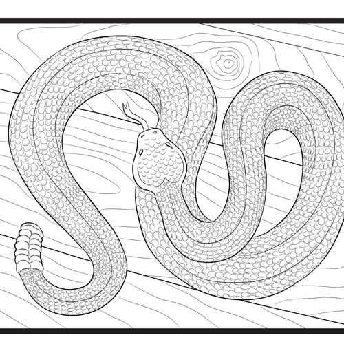 Rooster Single Coloring Page - Etsy