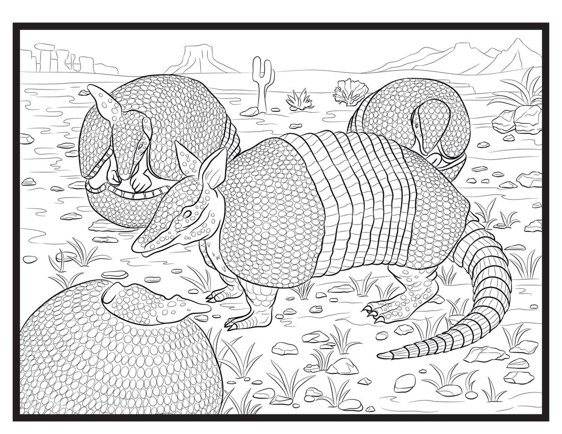 Armadillo, Single Coloring Page - Etsy