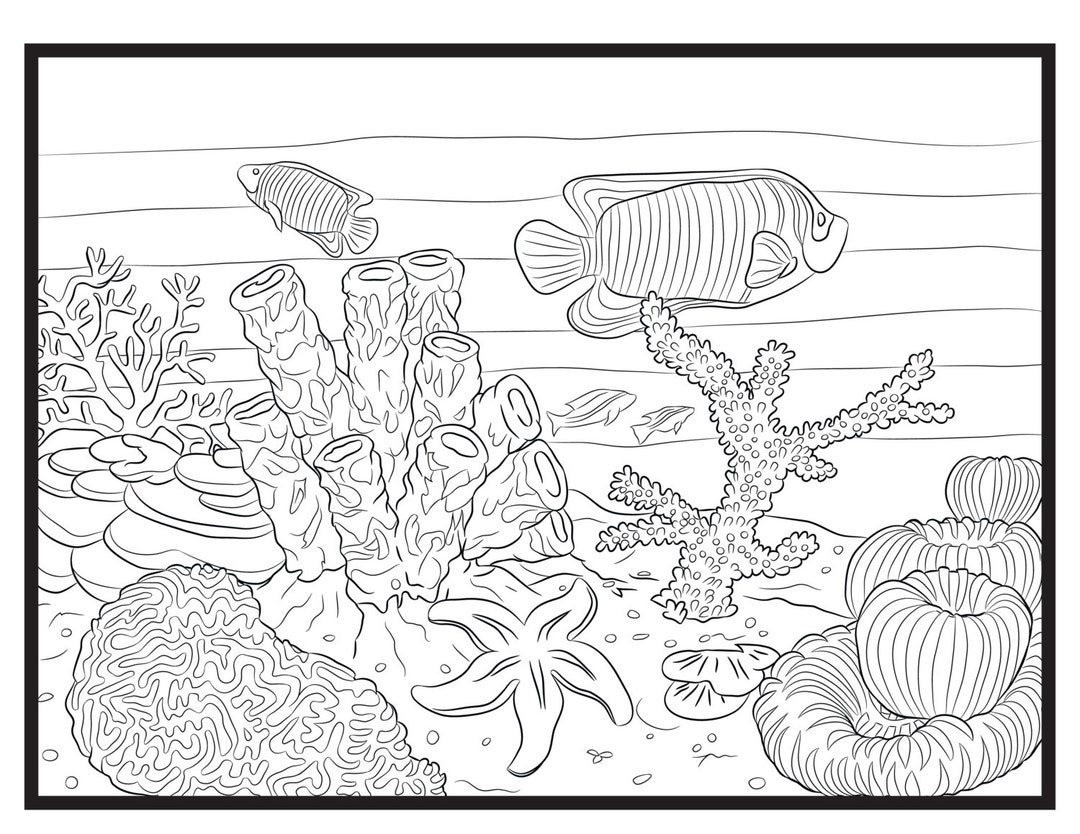 Ocean, Single Coloring Page - Etsy