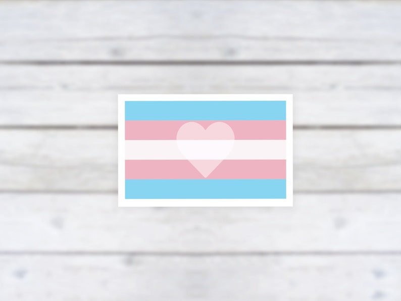 Trans Flag Sticker Trans Flag Laptop Water Bottle Sticker - Etsy