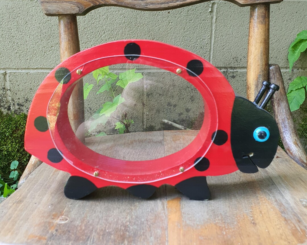 Vintage Lady Bug Bank-vintage Kid's Bank-piggy Bank-bug Bank-lady Bug ...