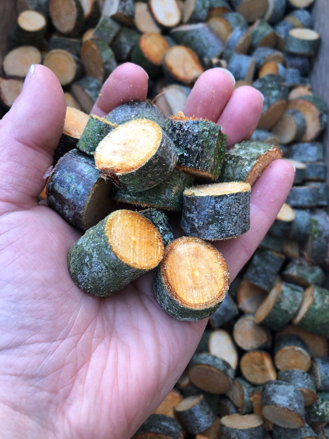 Apple or Pear Wood Treats, Chews, Chunks, Coins, Nibbles - Etsy