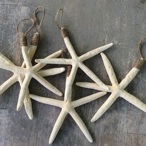 Large Hanging Starfish - Etsy