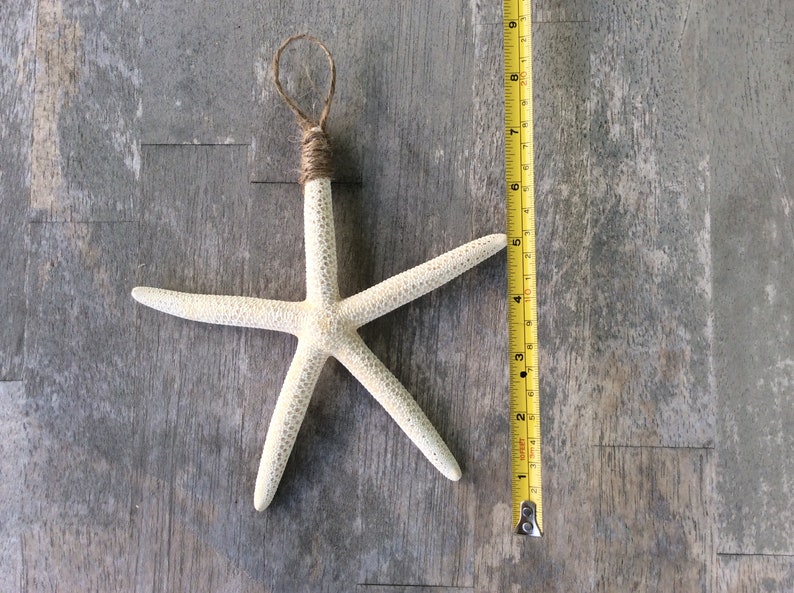 Large Hanging Starfish - Etsy