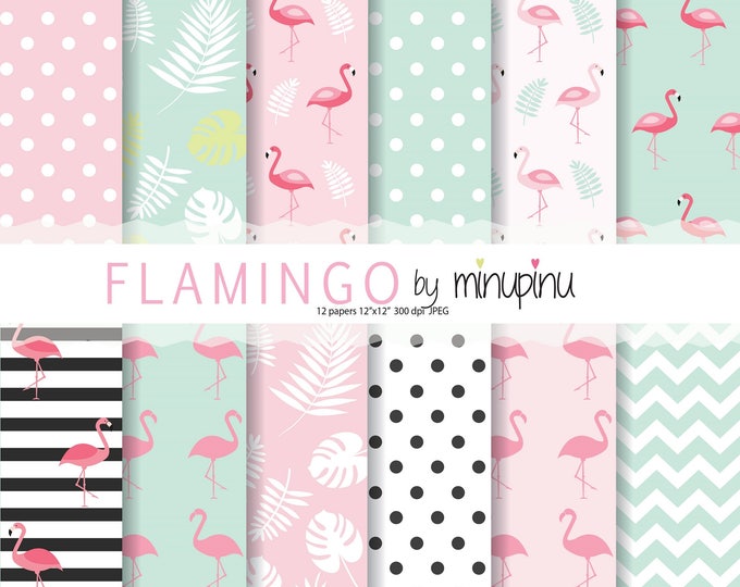 Flamingo Digital Paper: flamingos Birds in Pink, Teal, Coral, Feathers ...