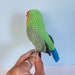 Crochet Peach-faced Lovebird Plush Toy Budgie Lover Gift Pet - Etsy