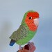 Crochet Peach-faced Lovebird Plush Toy Budgie Lover Gift Pet - Etsy